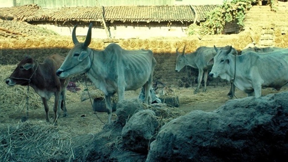 From My Notebooks In 1977: From Assam to Patna by Mistake - Ted Simon - Jupitalia