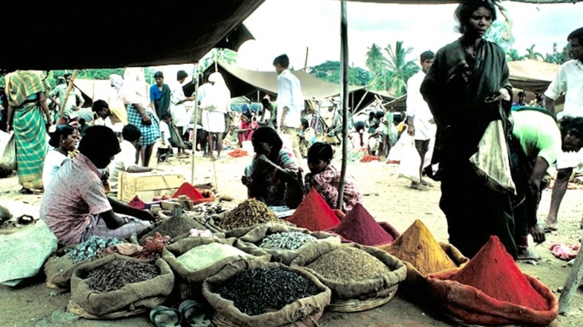 From My Notebooks In 1977: Monobarie Tea Estate in Assam - Ted Simon - Jupitalia