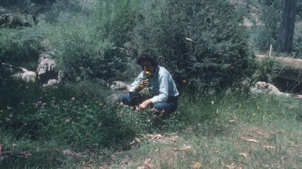 From My Notebooks In 1976: The Croc' Hunter - Ted Simon - Jupitalia